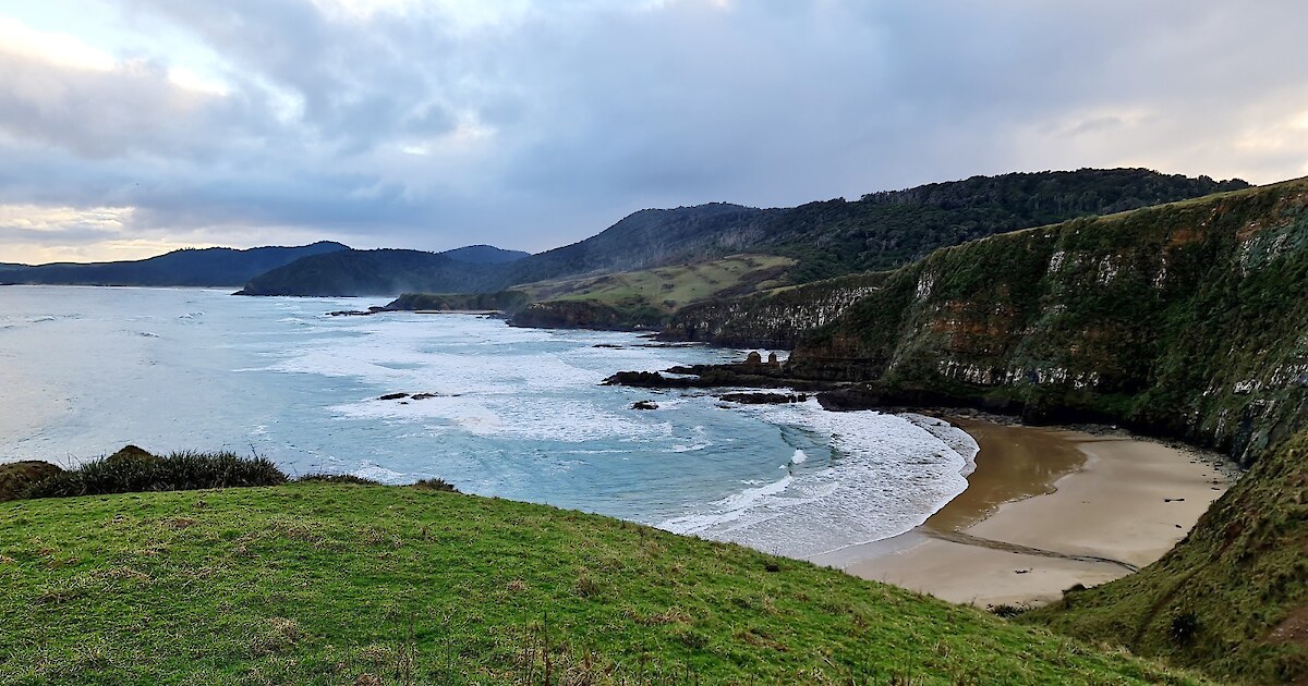 Tautuku Hauha Farming • Tautuku Waikawa Lands Trust